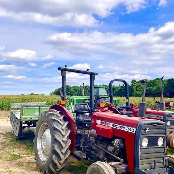Rottkamp Farm Stand - Glen Head, NY