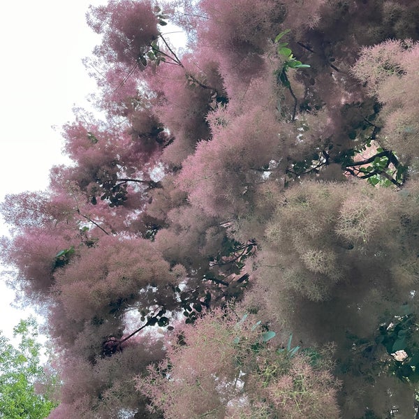 Photos at Engineers' Gate - Central Park - 5th Ave