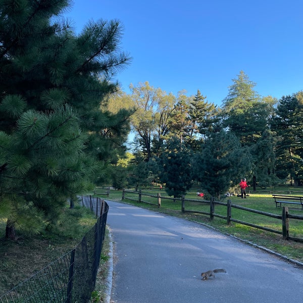 Photos at Arthur Ross Pinetum - Central Park - Central Park W