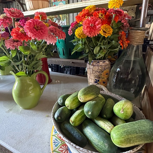 Rottkamp Farm Stand - Glen Head, NY