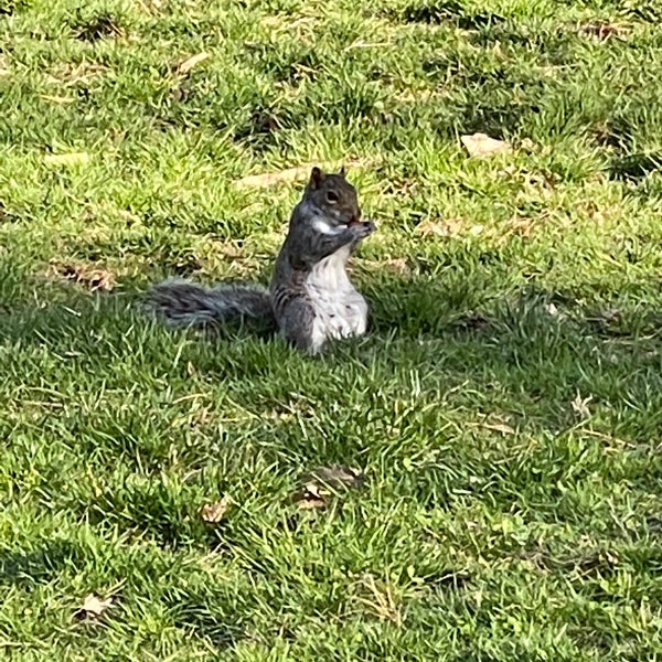 Photos at Arthur Ross Pinetum - Central Park - Central Park W