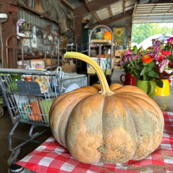 Rottkamp Farm Stand - Glen Head, NY