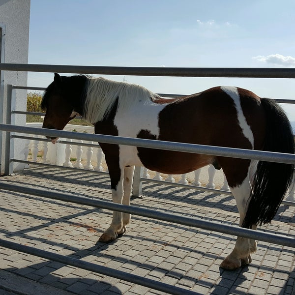 Photos at Vali Ranch, Gjilan - Përlepnic