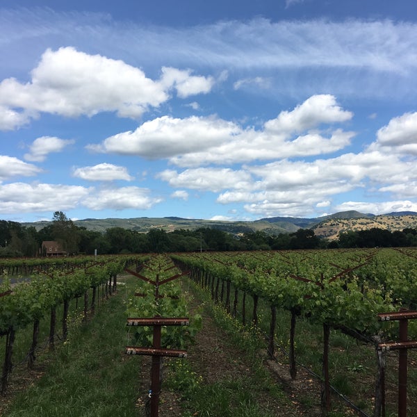 Gamble Family Vineyards - 4 tips from 80 visitors