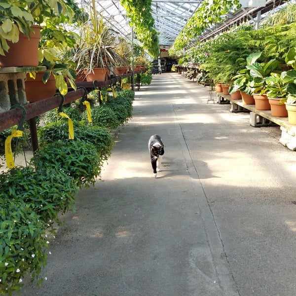 Photos at Kane's Flower World - Rt 114