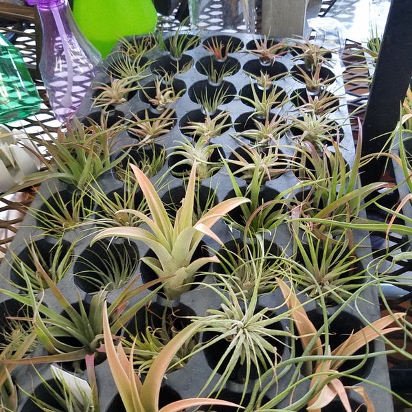 Photos at Kane's Flower World - Rt 114