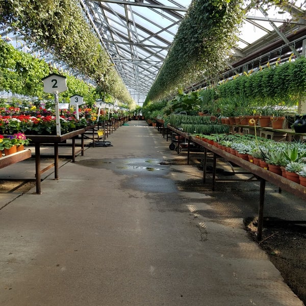 Photos at Kane's Flower World - Rt 114
