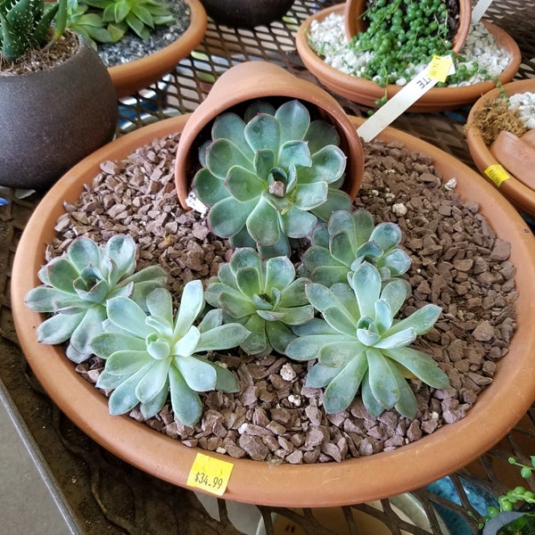 Photos at Kane's Flower World - Rt 114