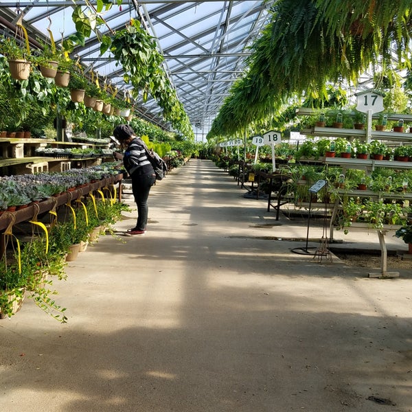 Photos at Kane's Flower World - Rt 114