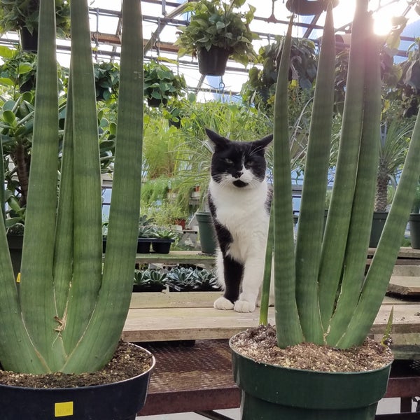 Photos at Kane's Flower World - Rt 114