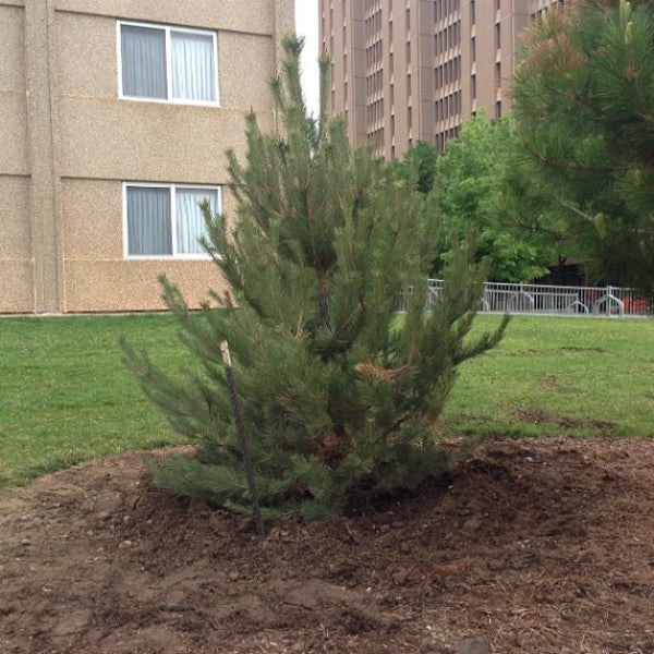 Harrison Hall - 1 tip from 163 visitors