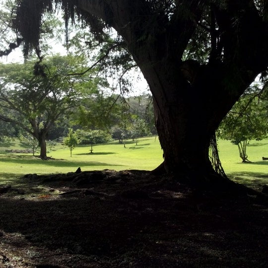 Photos at Palmiste Park - Park in Palmiste