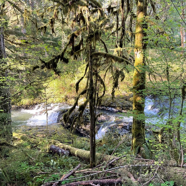 Silver Falls - Hiking Trail in Clackamas