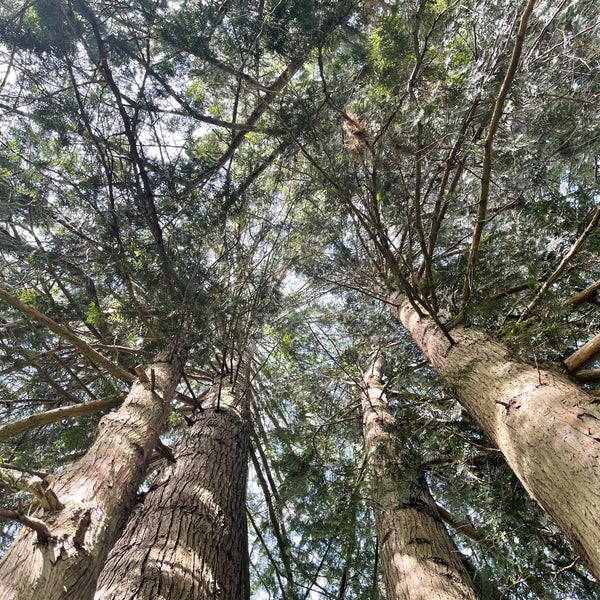 Lents Park - Portland, OR