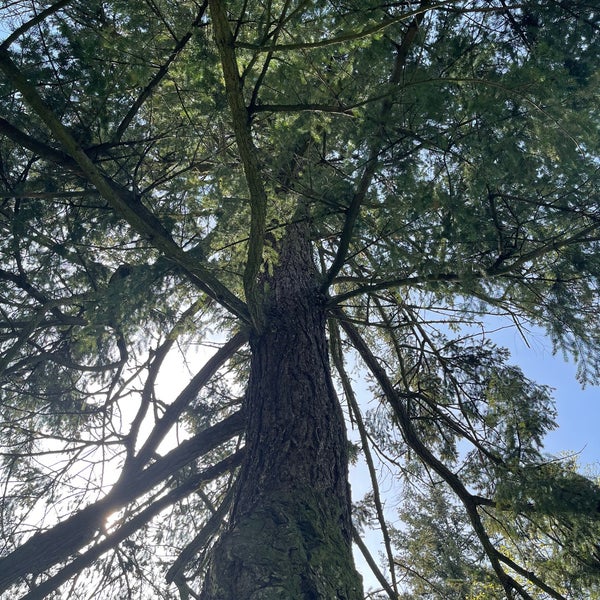 Lents Park - Portland, OR