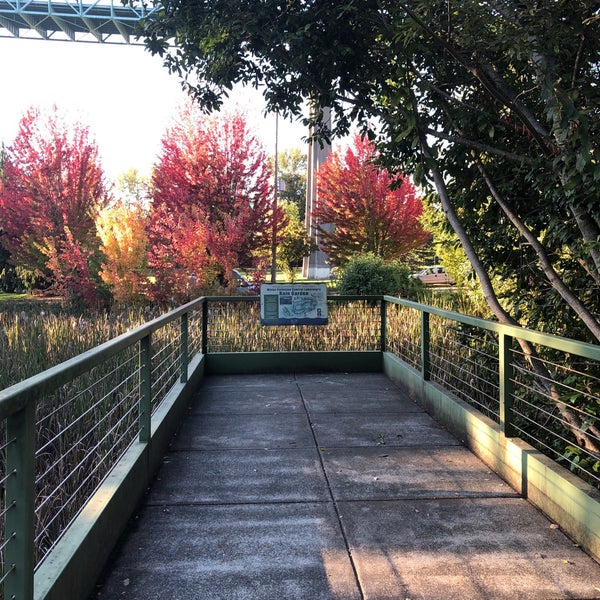 Portland Water Pollution Lab - 2 tips