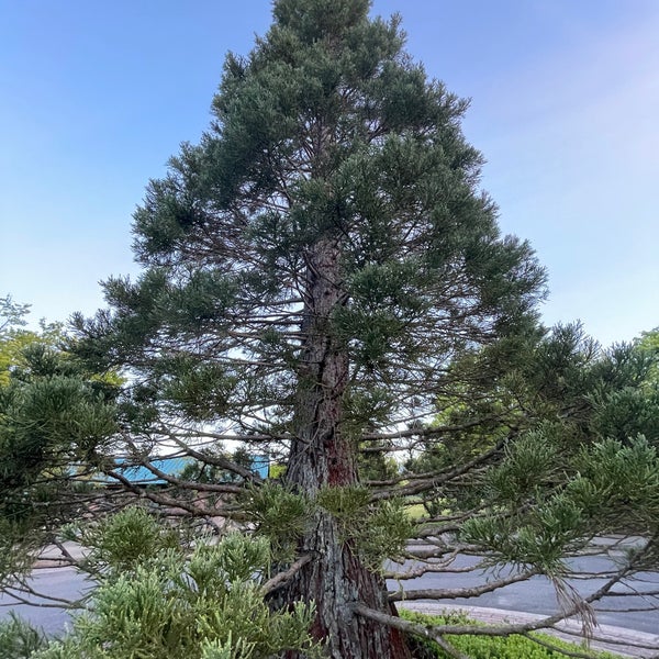 Ibach Park - Sherwood - Tualatin South - Tualatin, OR