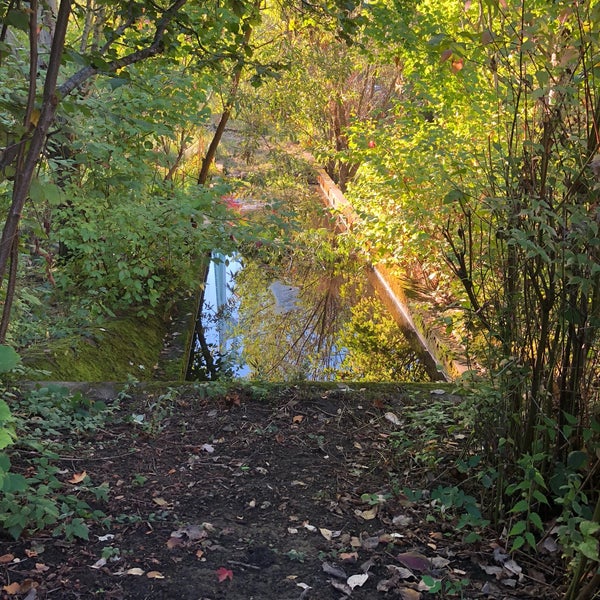 Portland Water Pollution Lab - 2 tips