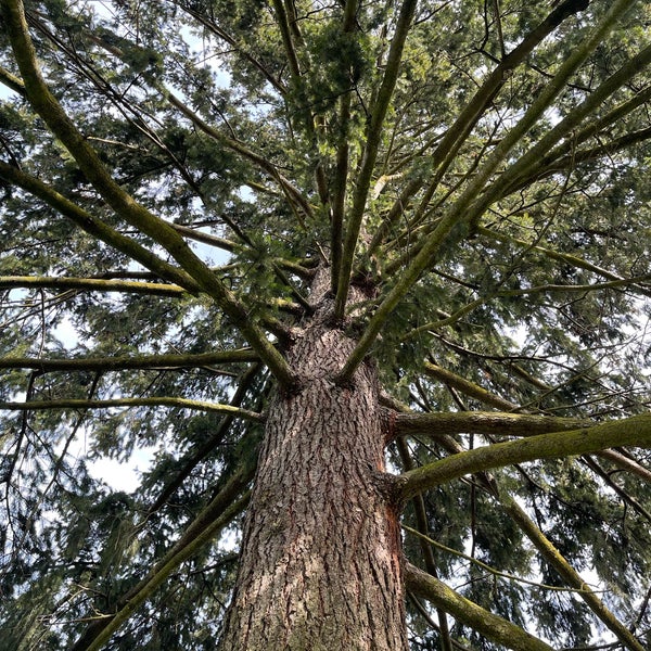 Photos at Ed Benedict Park - Park in Portland