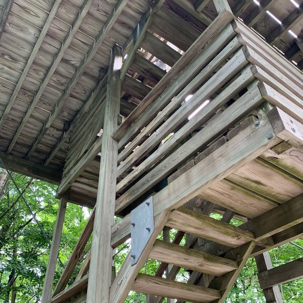 Parnell tower - 3 tips