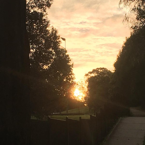 George Thornton Reserve - Soccer Field in West Pennant Hills