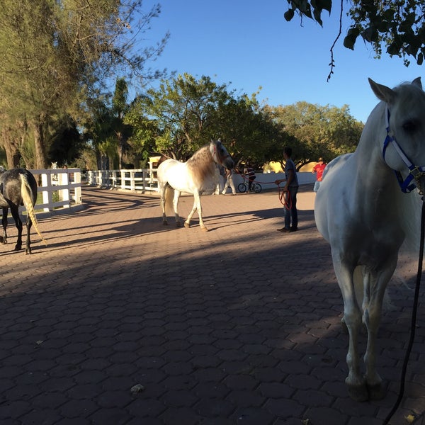 Etchojoa, Sonora - City