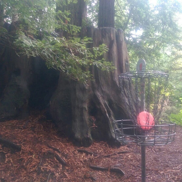 Redwood Curtain Disc Golf - Disc Golf