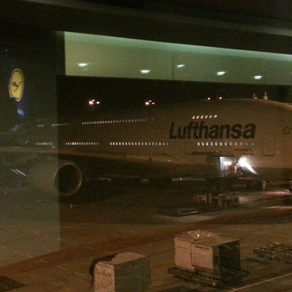 Photos at Lufthansa Flight LH 779 - Plane in Singapore
