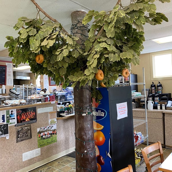 Bagel Tree Cafe and Bakeshop - 8 tips from 146 visitors