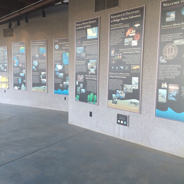 Bodega Marine Laboratory (BML) - College Lab