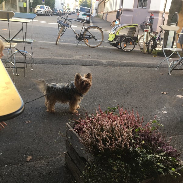 Photos at Vespa & Humla - Rodeløkka - Oslo, Oslo