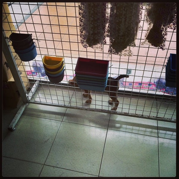 Yap Animal Clinic - Klang, Selangor