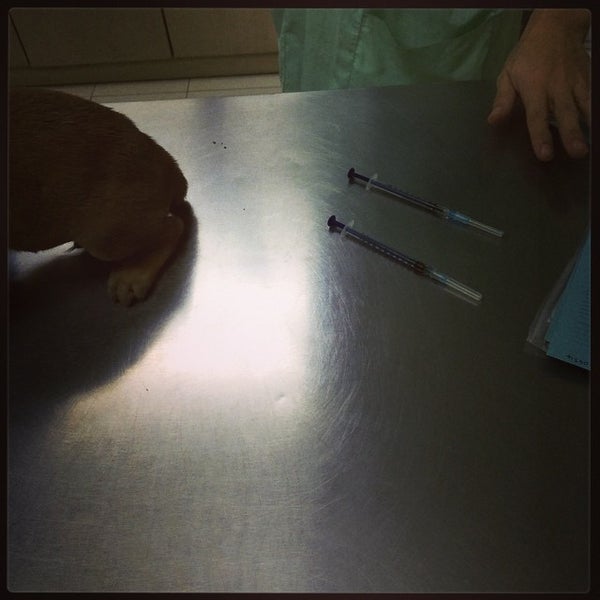 Yap Animal Clinic - Klang, Selangor