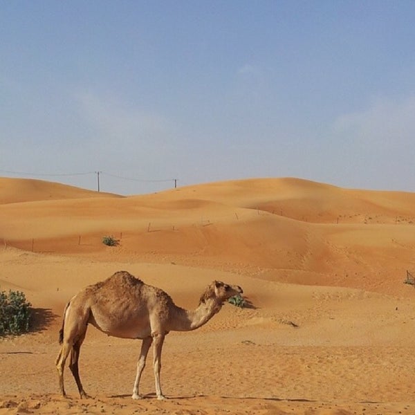 Dohat Al Adab St. - Dohat Al Adab St.