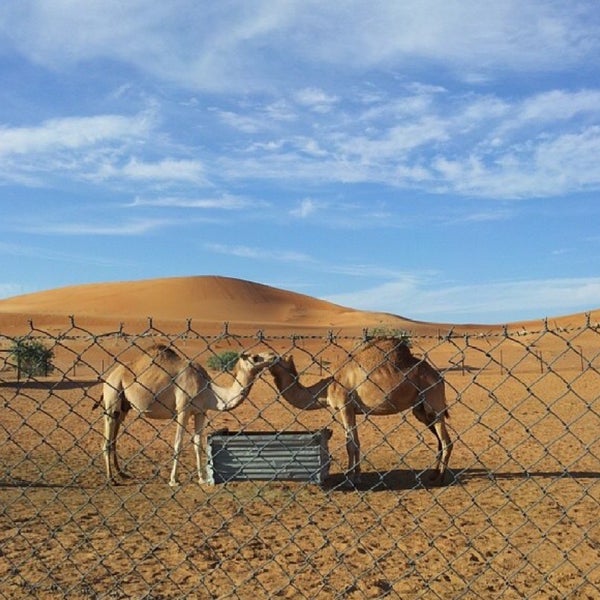 Dohat Al Adab St. - Dohat Al Adab St.