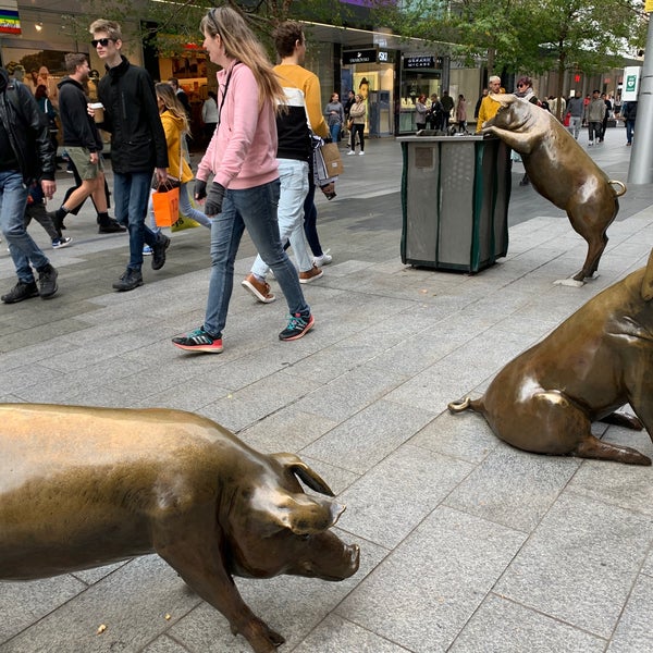 Rundle Mall Pigs - Adelaide, SA