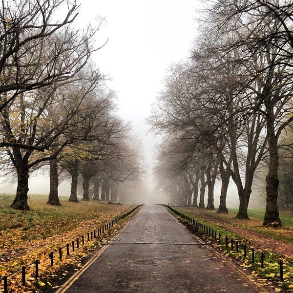 Ashton Court Estate - Kennel Lodge Rd