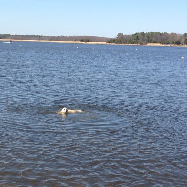 Photos at Cashman Park - Newburyport, MA