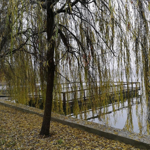 Parcul Bordei - Primăverii - str. I. S. Turgheniev