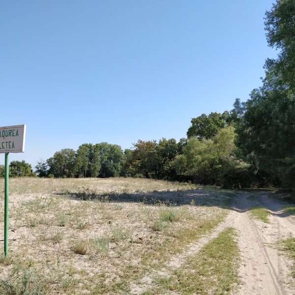 Pădurea Letea - Letea