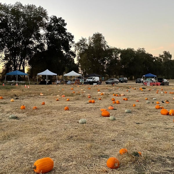 Gibson Ranch - 4 tips