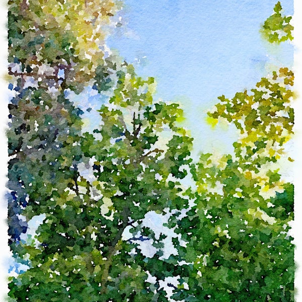 Chesebrough Park - Sunset Hills Dr Valencia‎ CA United States