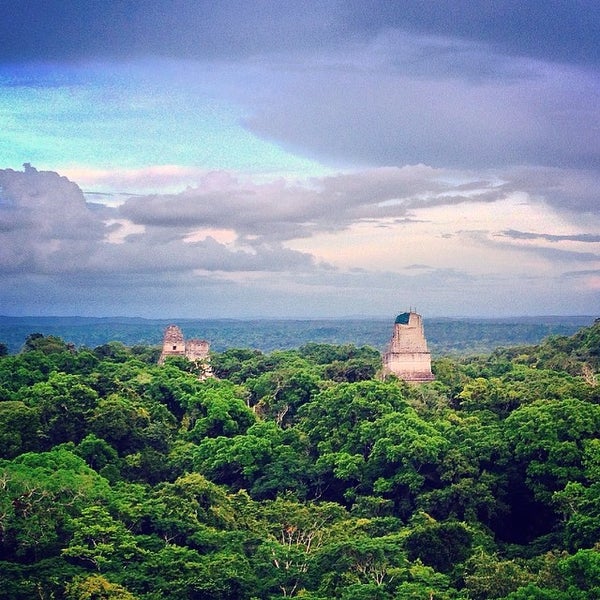Tikal - Village in Tikal