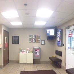 Center Line Veterinary Hospital - 1 tip