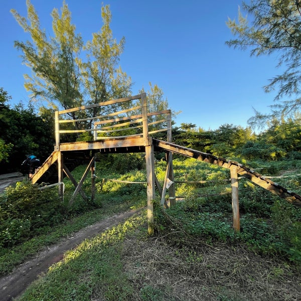 Virginia Key MTB Trails - Hiking Trail in Miami