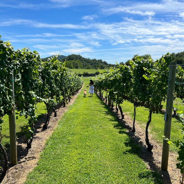 Photos at Three Fox Vineyards - Winery in Delaplane