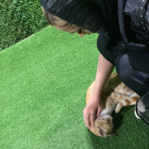 Sepidar Traditional Restaurant | سفره خانه سنتی سپیدار - منطقه ۲ ...