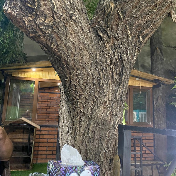 Sepidar Traditional Restaurant | سفره خانه سنتی سپیدار - منطقه ۲ ...