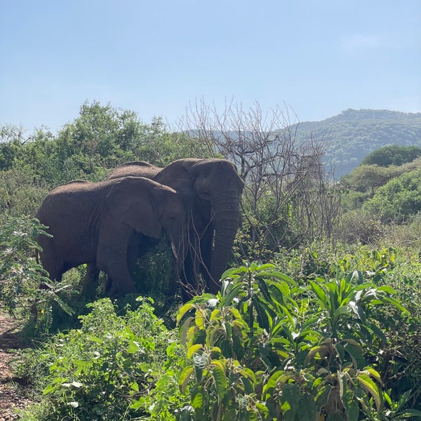 Lake Manyara National Park