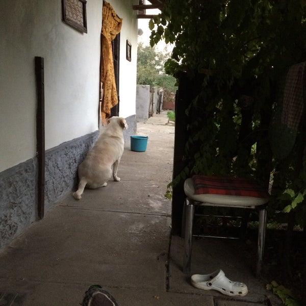 Hunya - Other Great Outdoors in Hunya